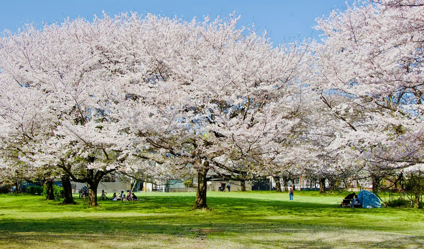 Planning isn’t about cramming more tasks—it’s about clarity and focus ...