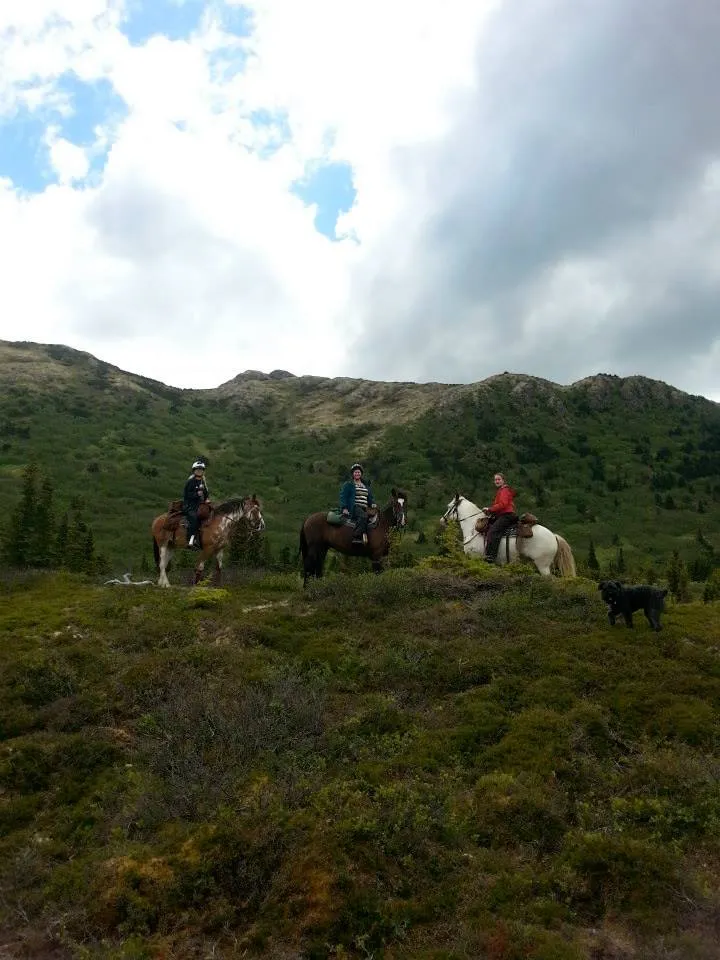 Brief Introduction of Alex Kime — Tour Guide and Owner of Alaska ...