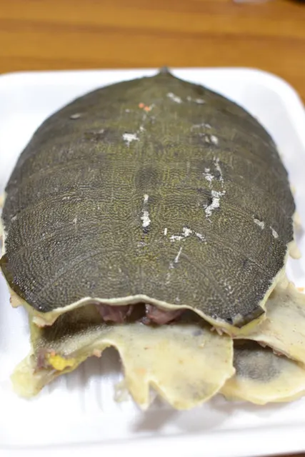 “Sazaeno-tsuboyaki” literally means “baked turban shell in a pot” | by ...