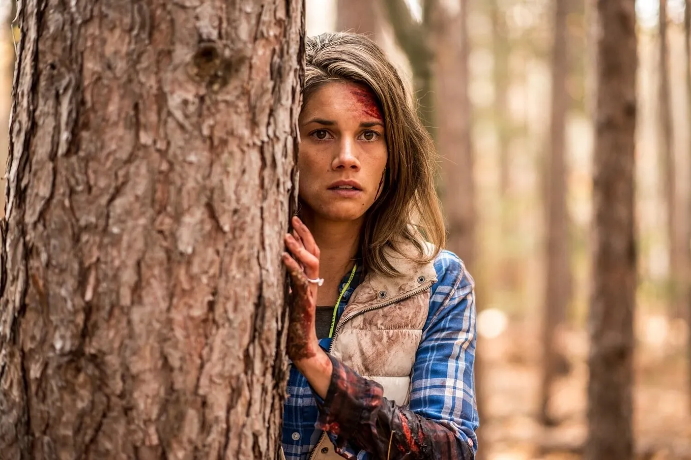 5 Random Books with Insane Storylines that Will Leave You Shocked | by ...