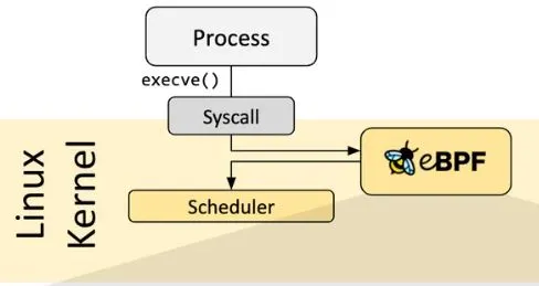 Learn VLSI Verification, Day 33: Clocking Block in Interface, System Verilog | by Vimala Learn ...