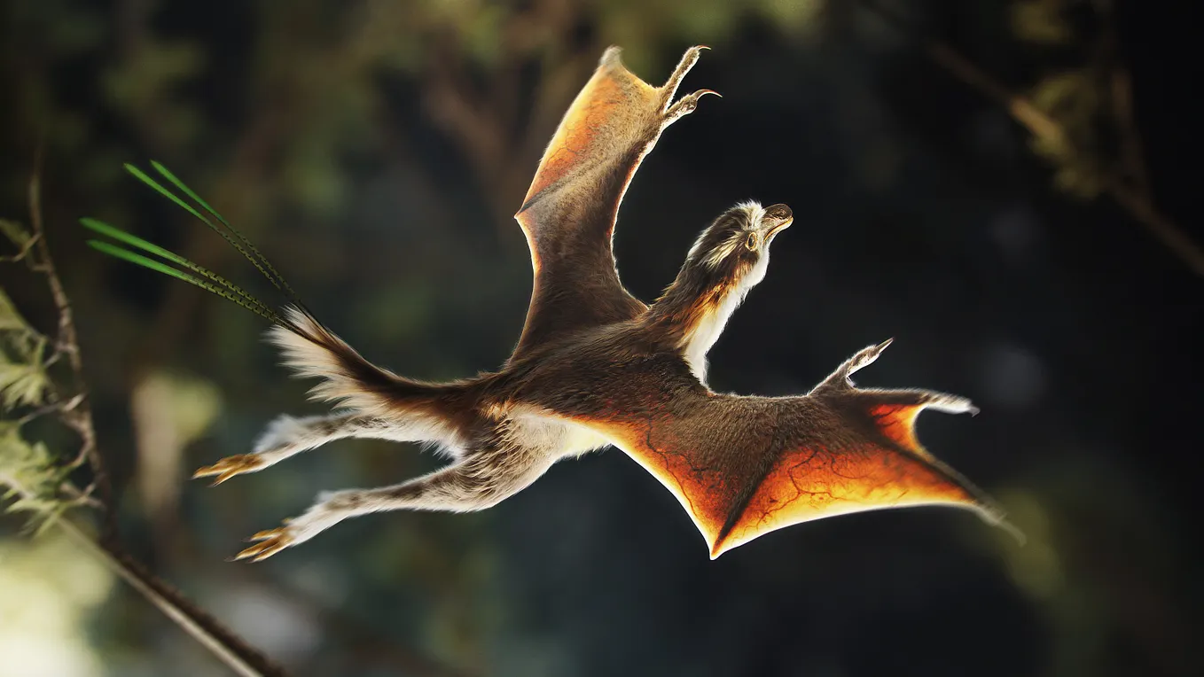 Horns, Beaks & Impressive Frills: The Mighty Ceratopsians | by Panos ...