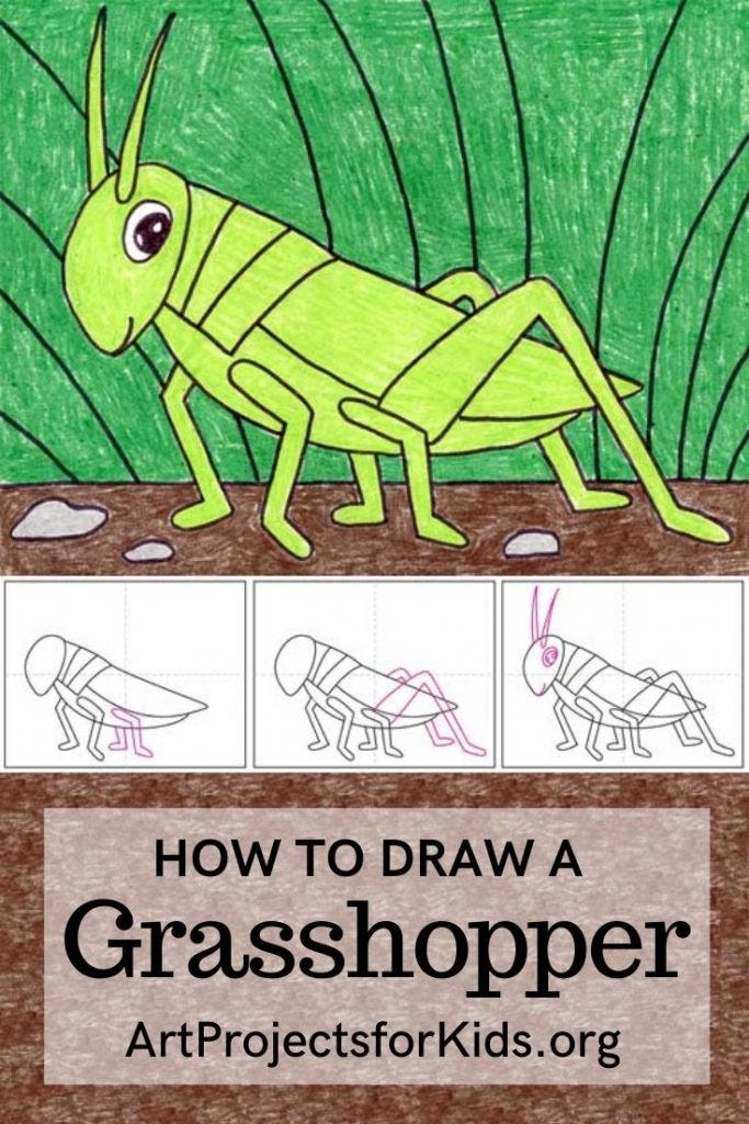 Grasshopper Diagram For Kids