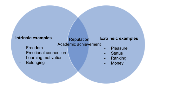 Extrinsic Motivation Examples