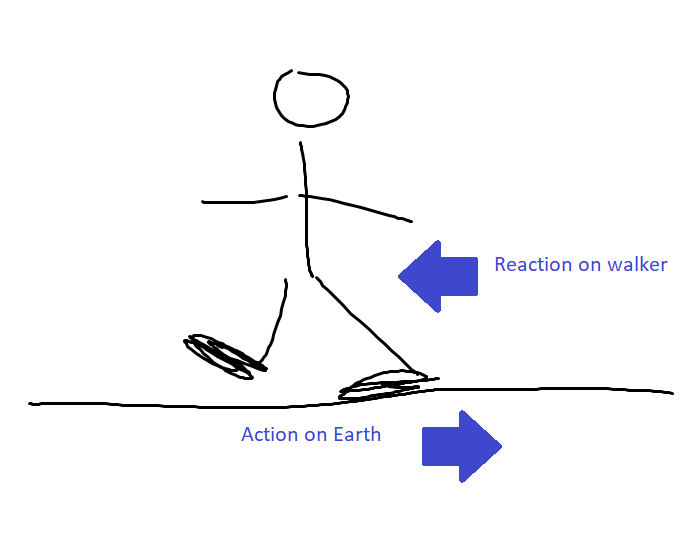 Example Of Action And Reaction