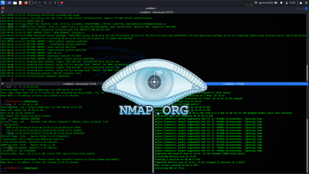 Nmap Network Mapper Herramientas Kali Linux