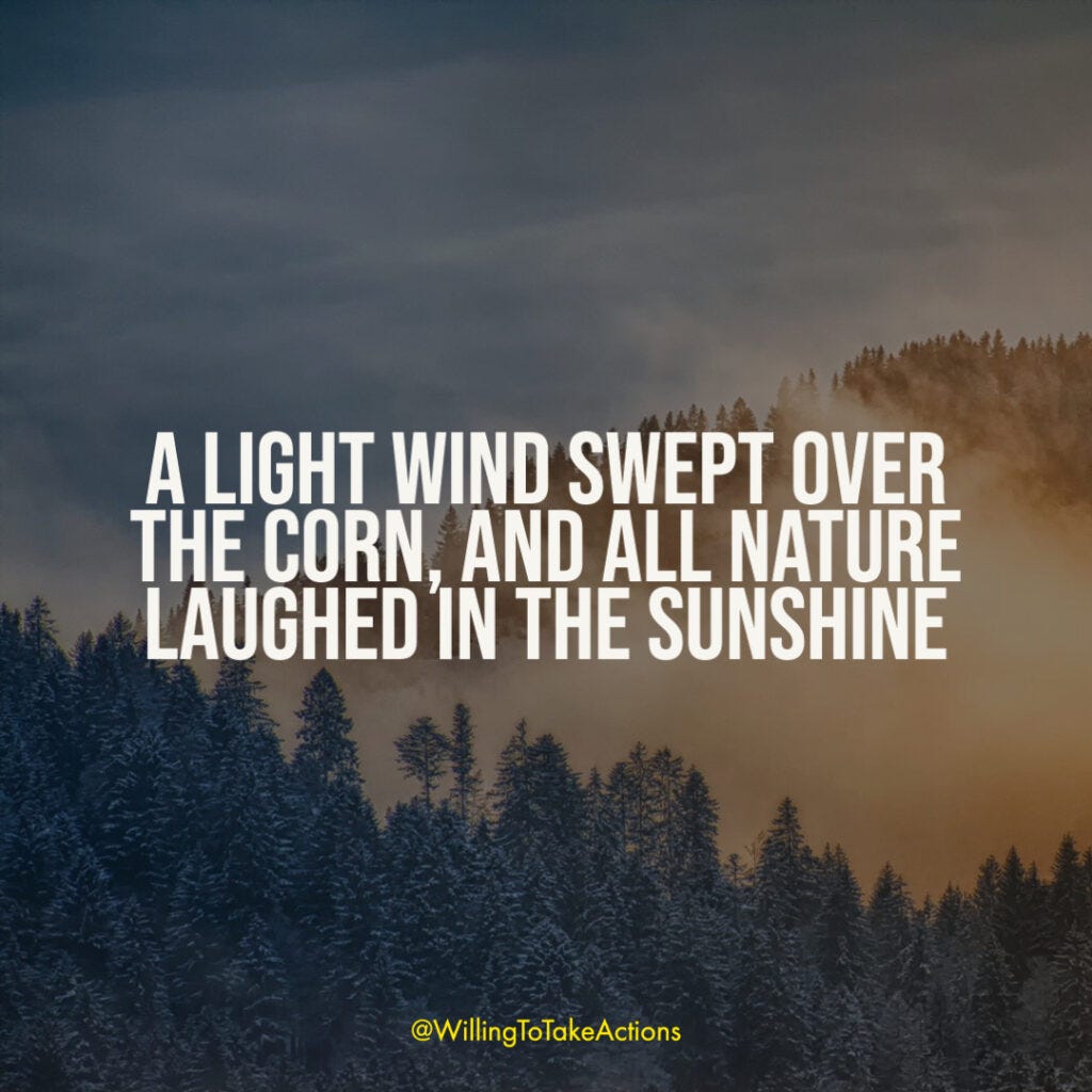 Warm Sunshine Quotes
