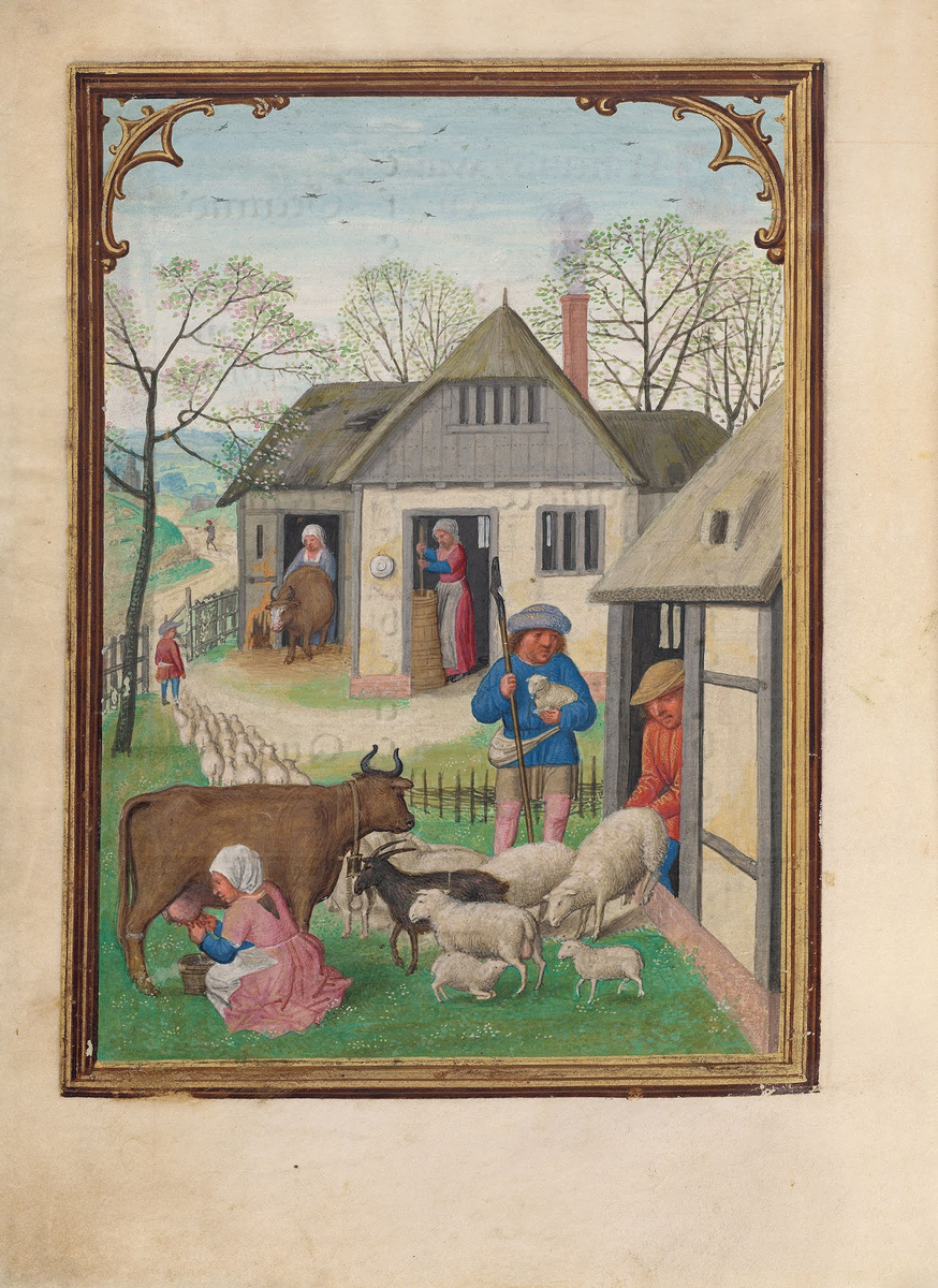 Wealthy Housing For Middle Ages The Middle Ages: Everyday Life In