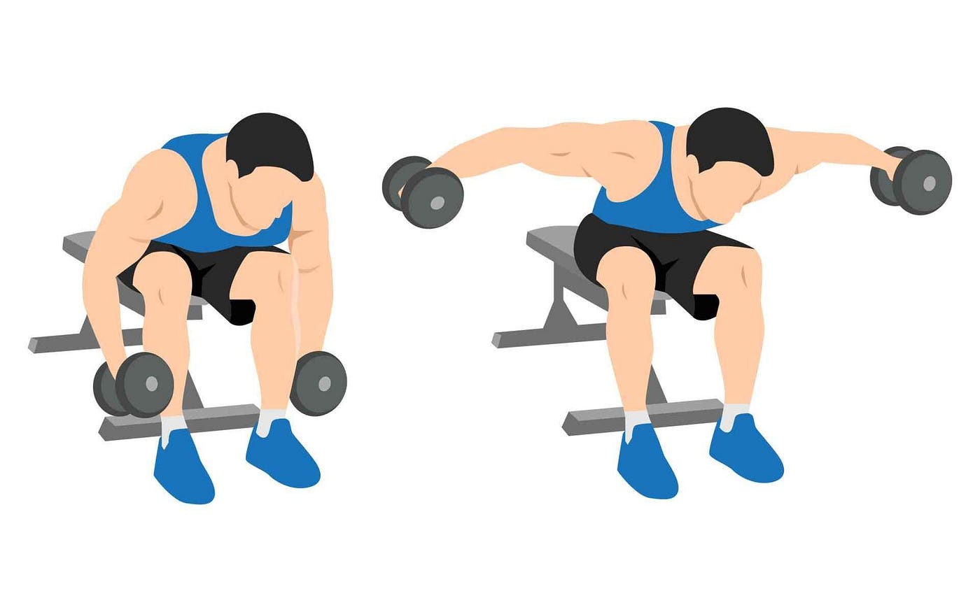 Dumbbell Posterior Deltoid Raises