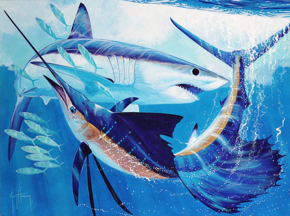 Guy Harvey Shark