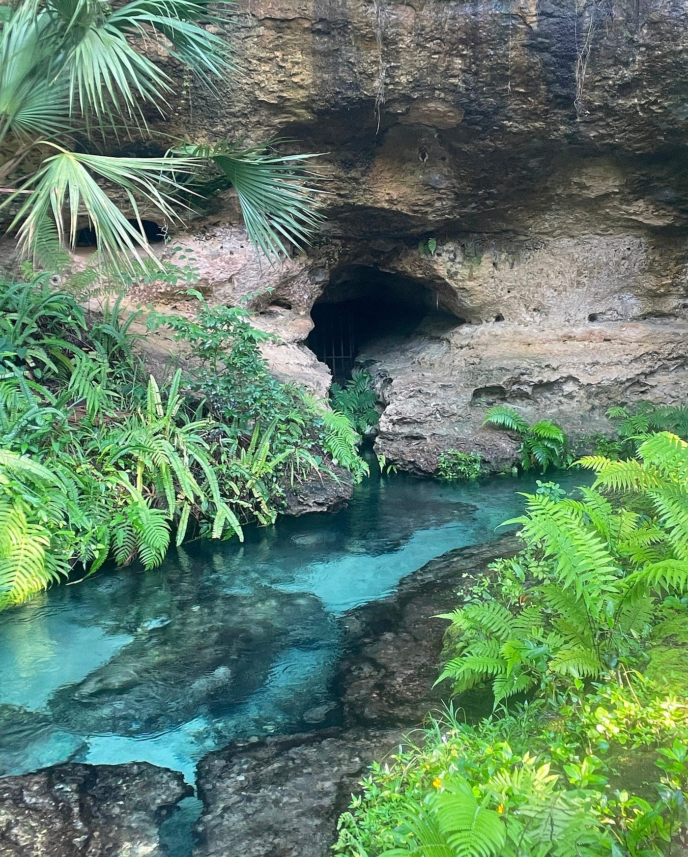 Florida Landforms