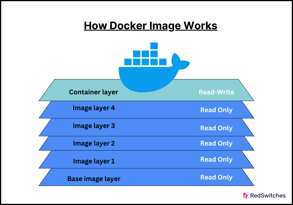 Image Vs Container How To Buy A Shipping Container