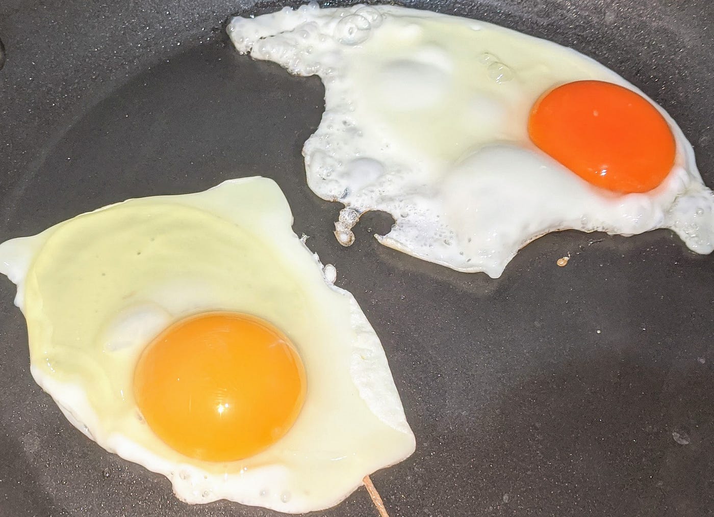 Egg Brands You Can Trust Eating Made Easy, 55% OFF