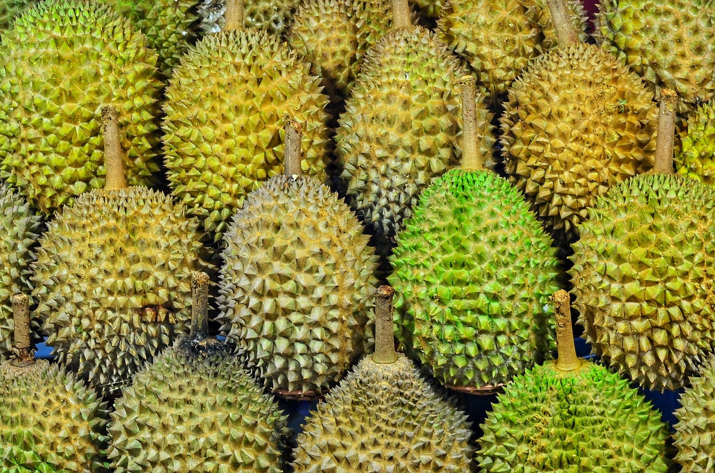 Durian Fruit Smell