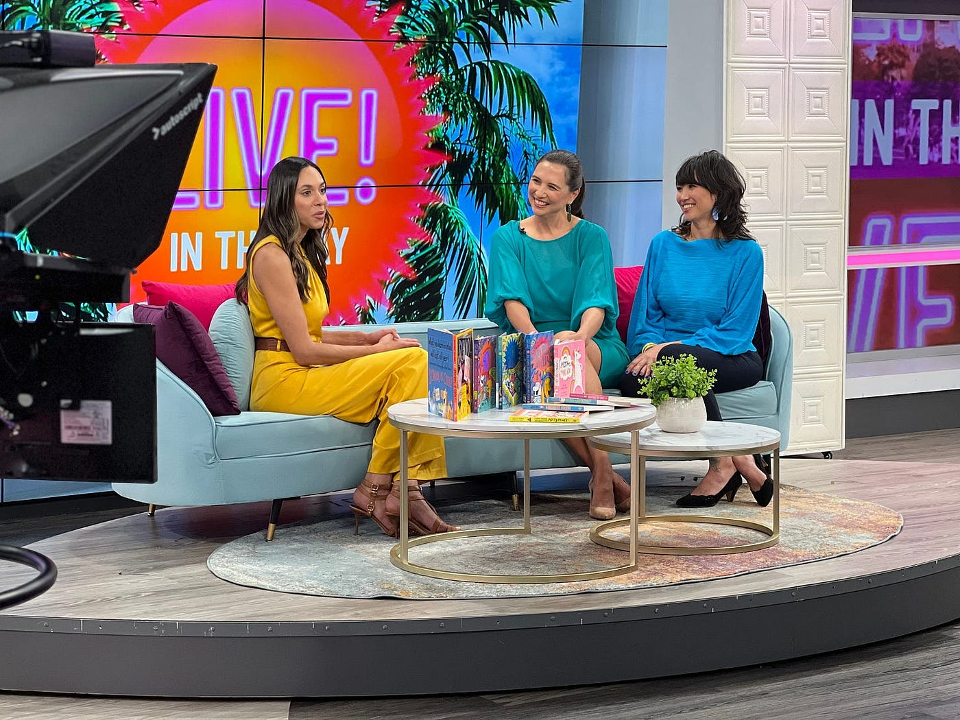 Tv Interview Set