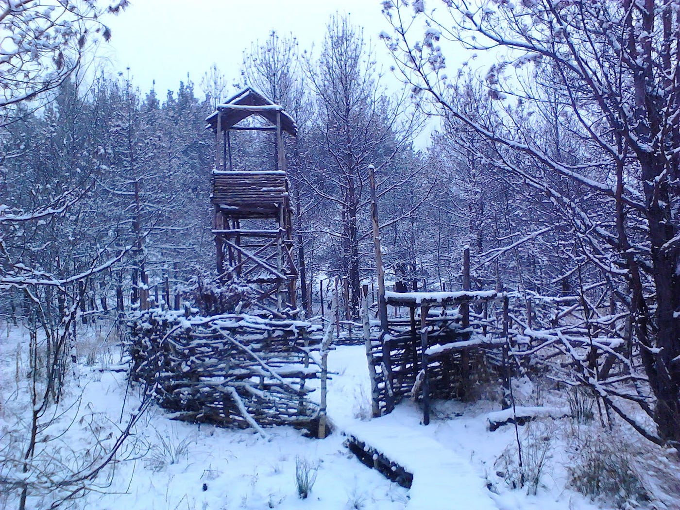 Cool Forts In The Woods