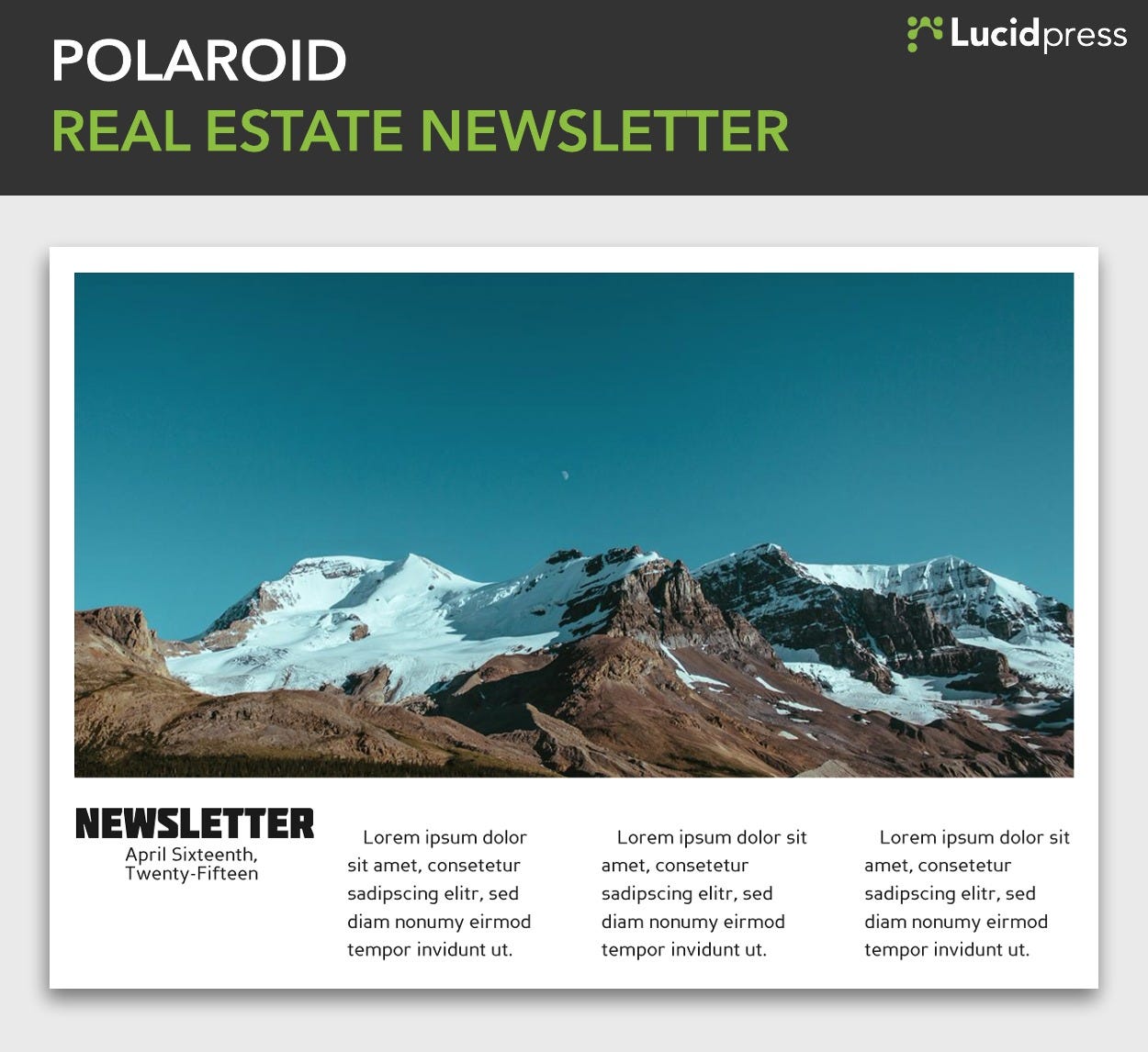 Newsletter Design Samples