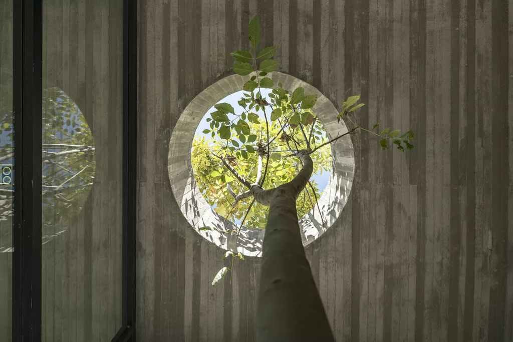 Architecture Versus Nature