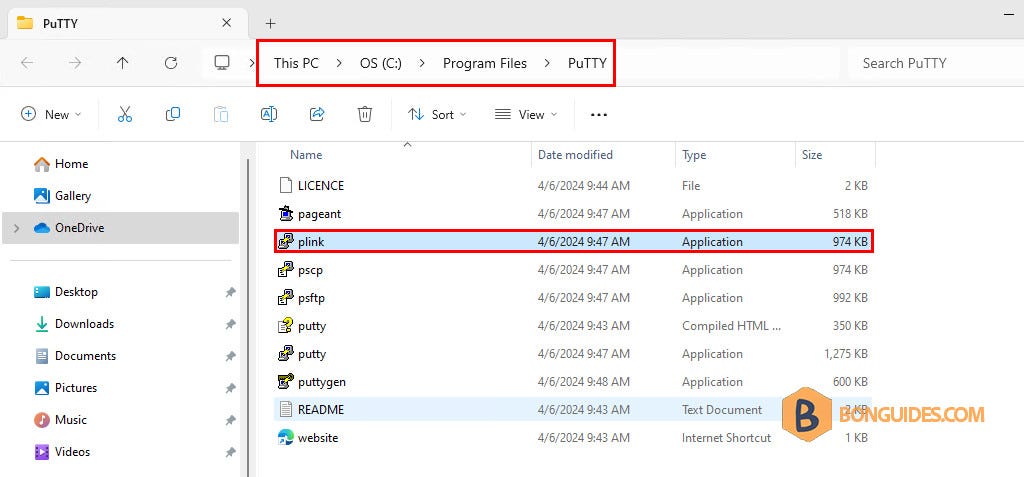 Execute Ssh With Password Authentication Via Windows Command Prompt
