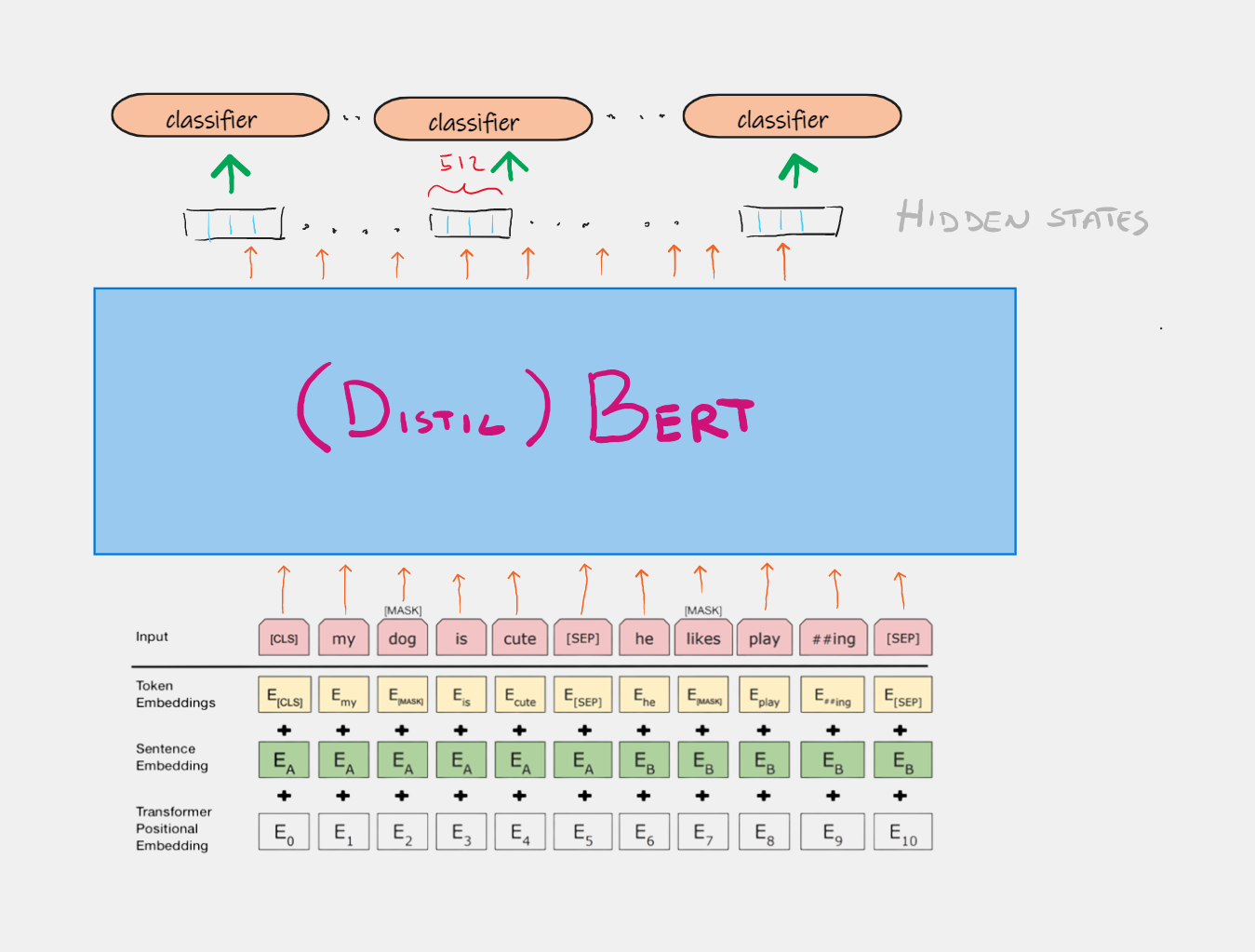 Named Entity Recognition with Hugging Face 🤗 NLP Tutorial For Beginners