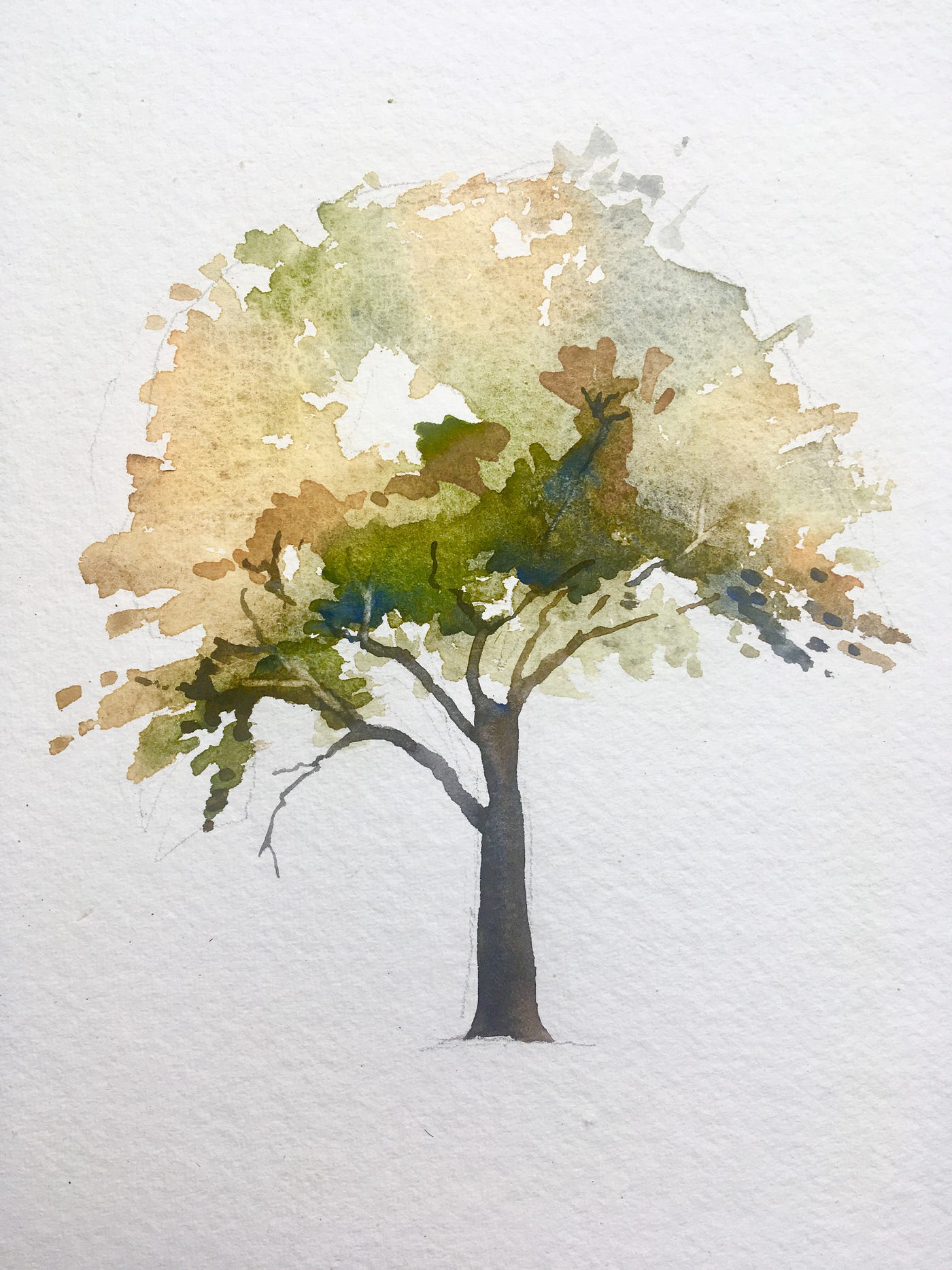 Watercolor Drawings Of Trees Watercolor Trees Hi Res Stock Photography