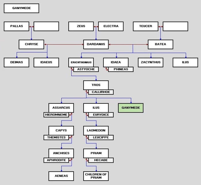 Typhon And Echidna Family Tree
