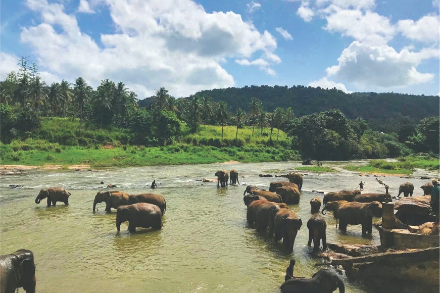 Bhadra Wildlife Sanctuary