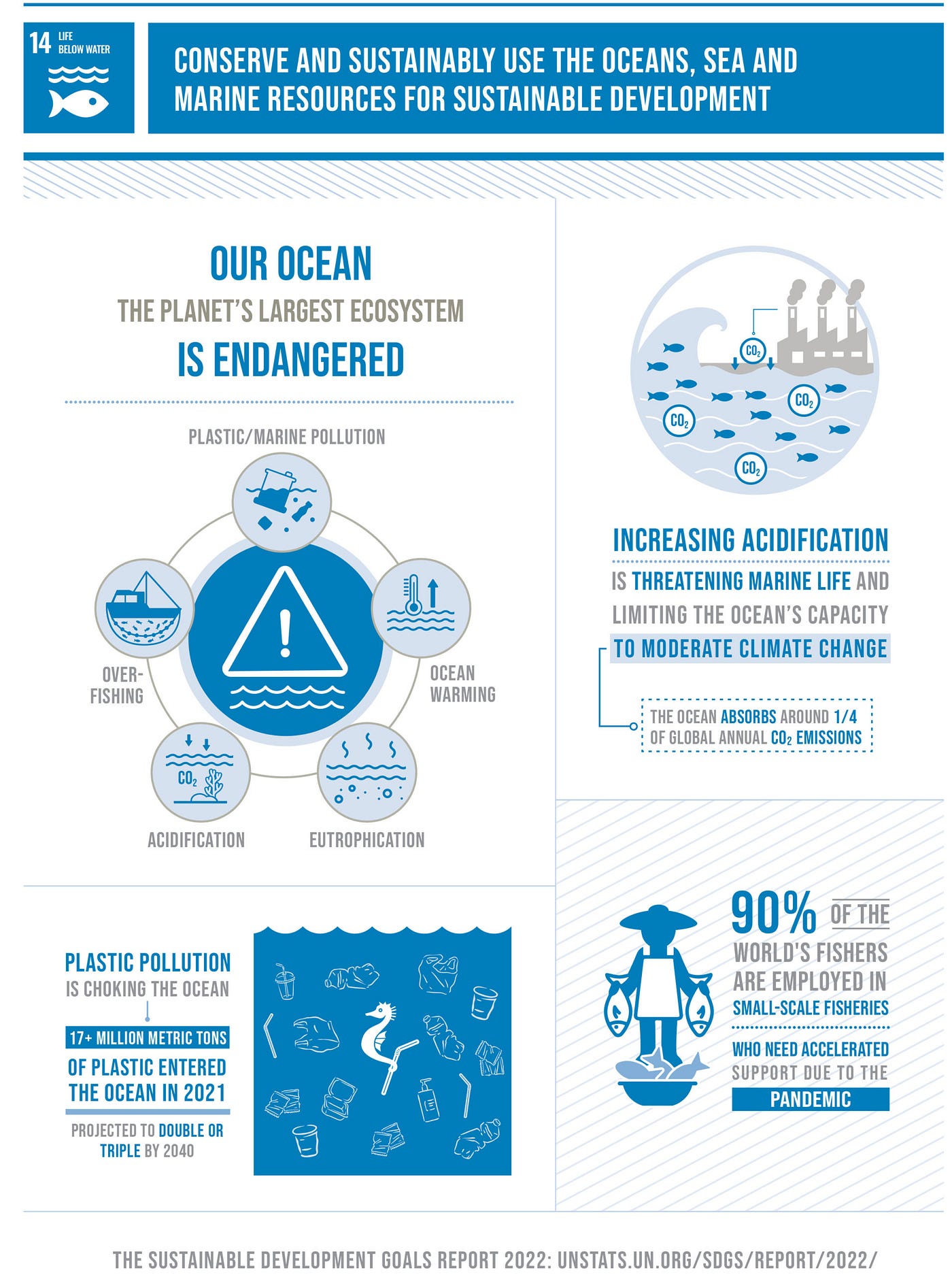 Fun Facts About Life Below Water