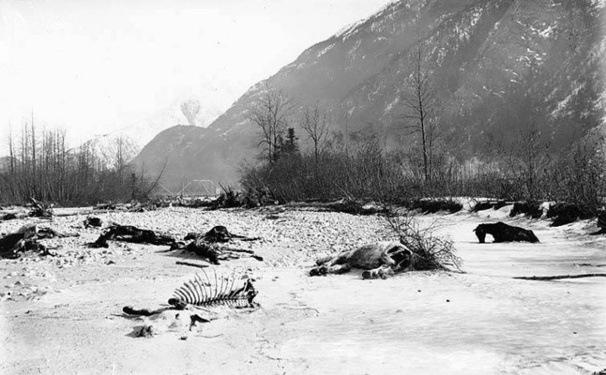Klondike Gold Rush 1896