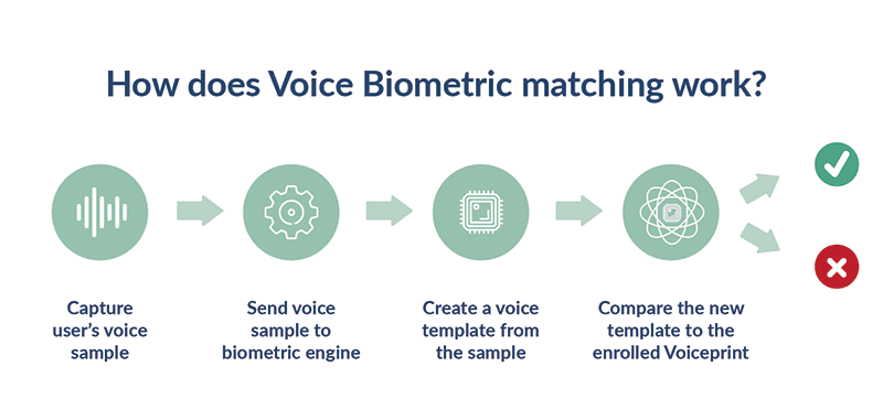 Vocal Voice Biometric