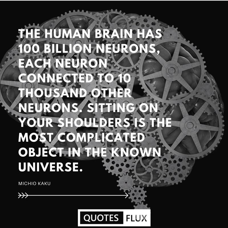 The Human Brain Quotes