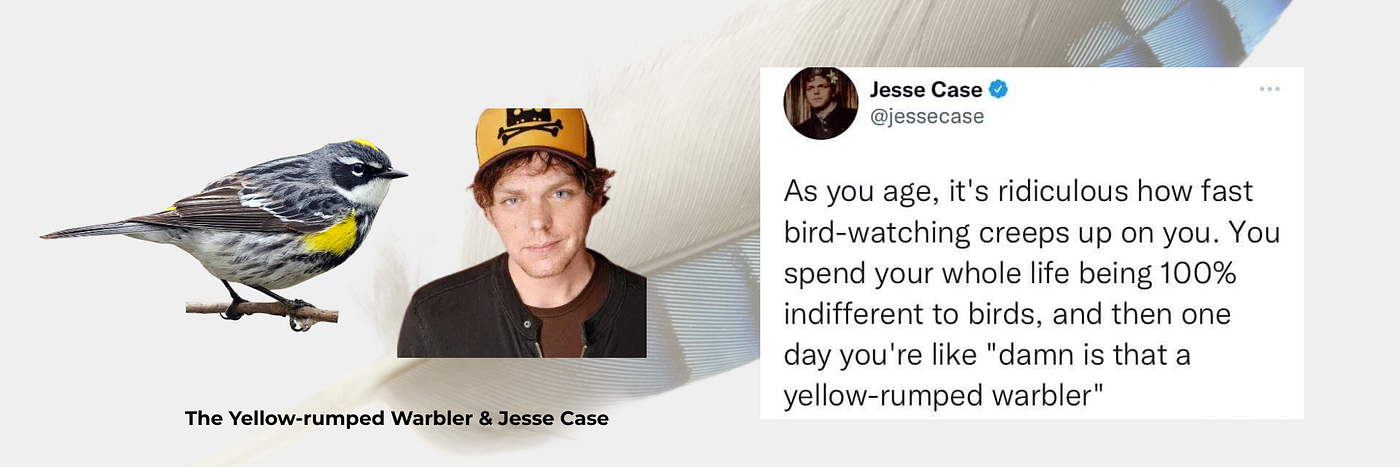 Warbler Memes