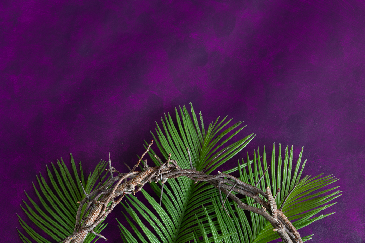 Palm Sunday Background 5 Palm Sunday Leaves Background Stock