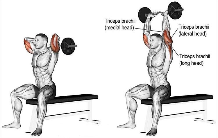 Short Head Tricep Workout