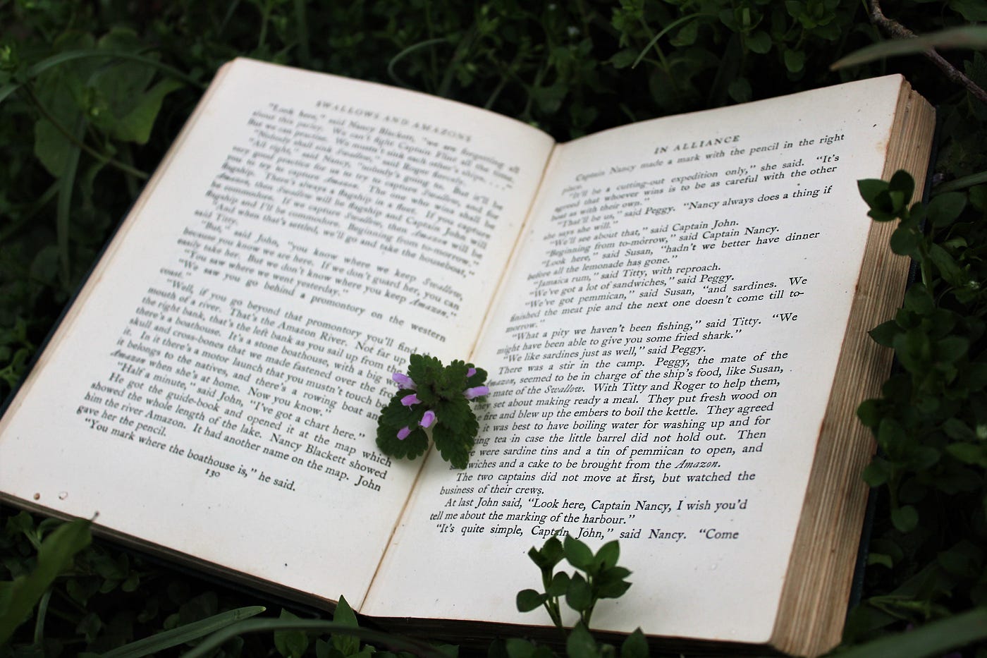 Reading Tumblr Photography