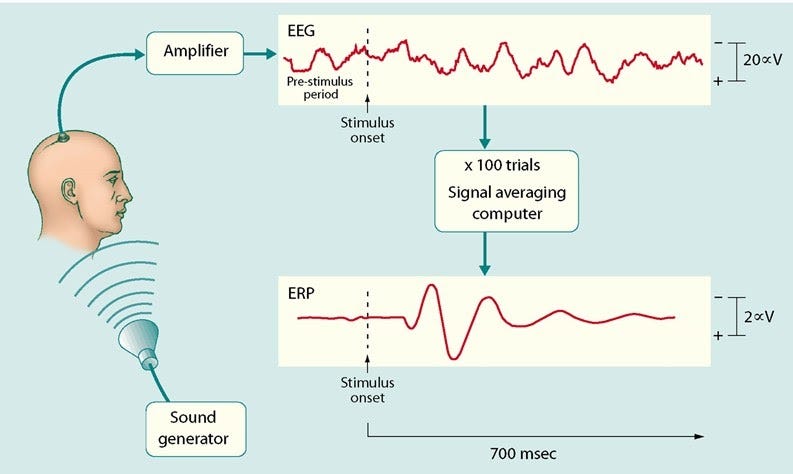Eeglab Tutorial The Art Of Brainwaves: A Survey On Event Related