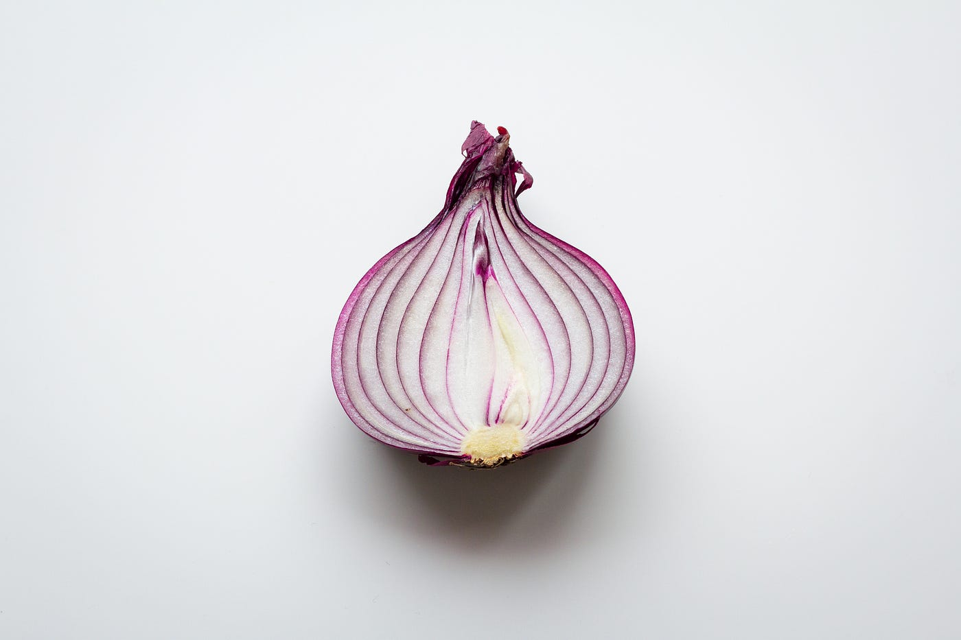 Onion Layers Homeschool — Explore Something New — Stacie Simpson