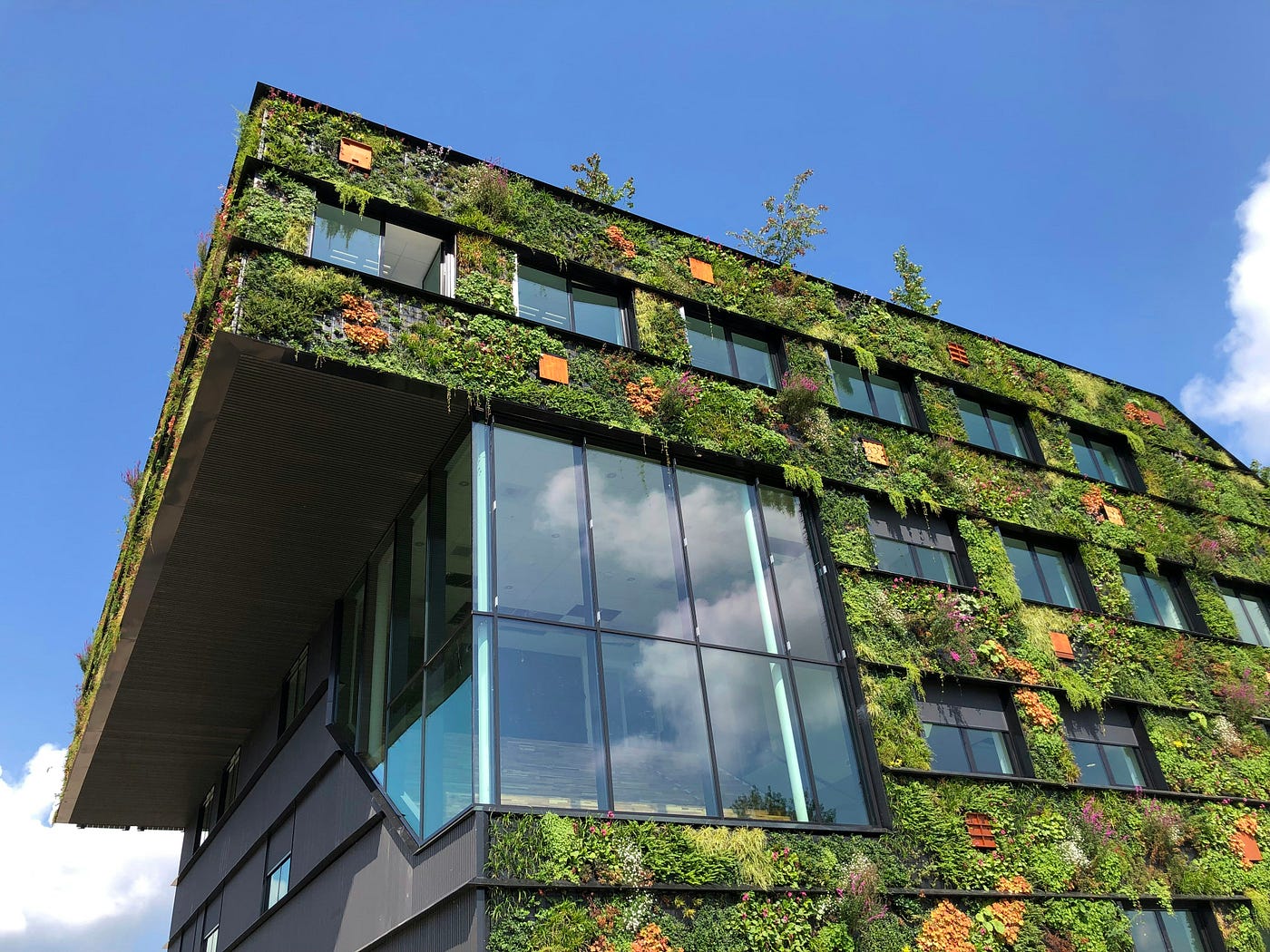 Building Eco Friendly Design New Eco Homes