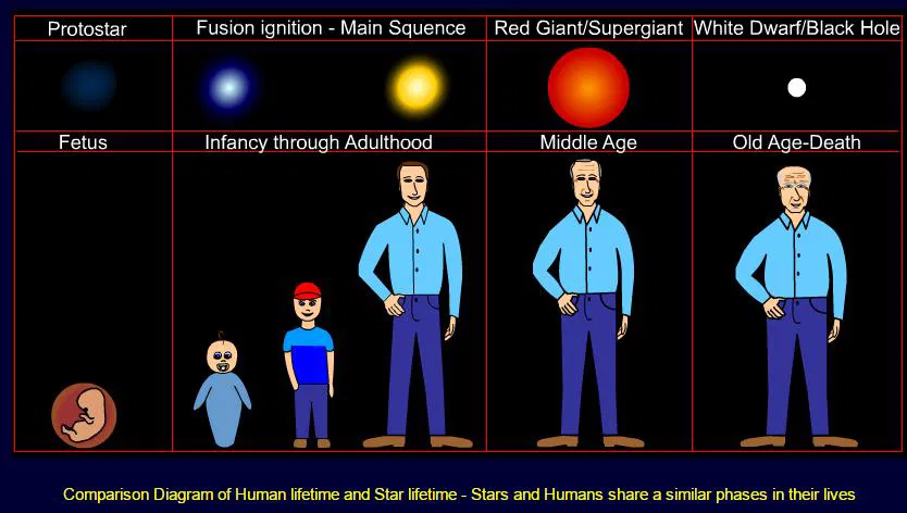 Red Dwarf Stars And Life