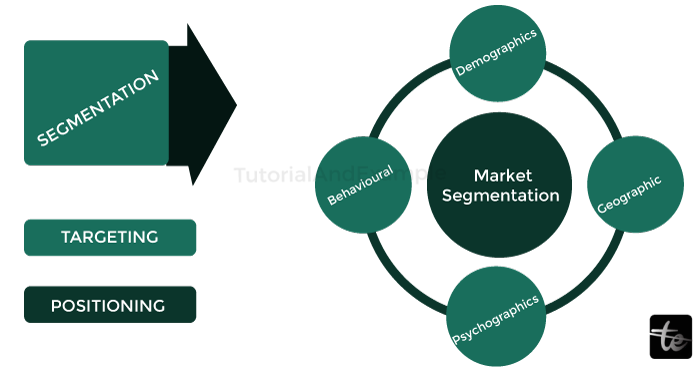 Target Market Segmentation