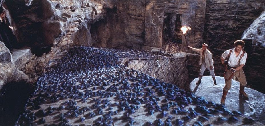 The Mummy Beetles The New York Times On The Web