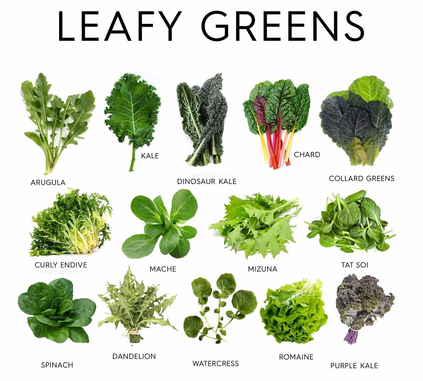 Edible Leafy Vegetables