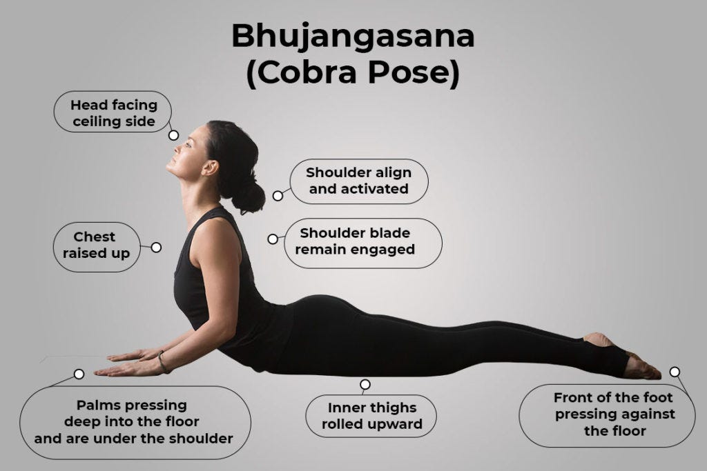 Bhujangasana Variations