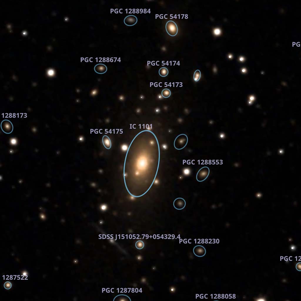 Ic 1101 Ic 1101