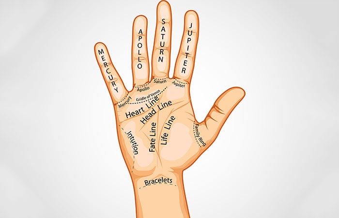 What Do The Lines On Your Palm Mean Exemplore