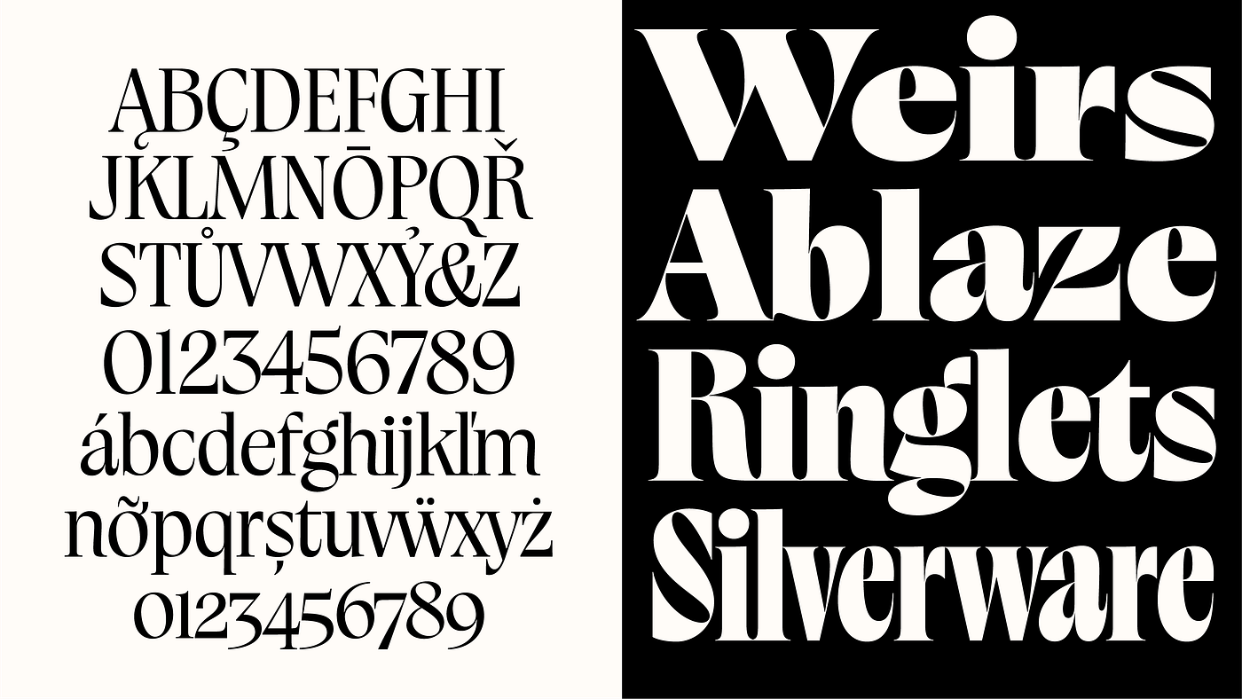 Popular Fonts 2025