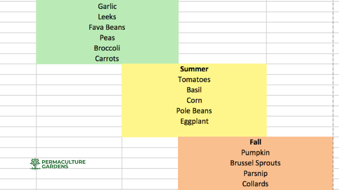 Succession Planting Chart How To Use Succession Planting To Extend