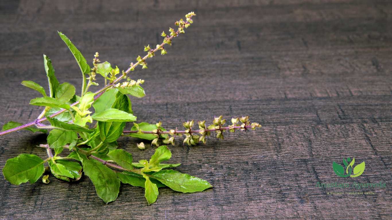 Tulsi Images Hd