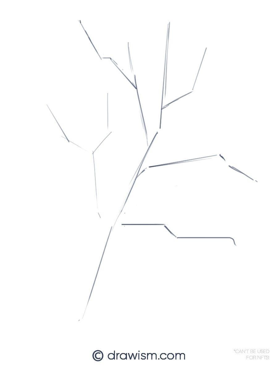 How To Draw A Tree Branch Easy