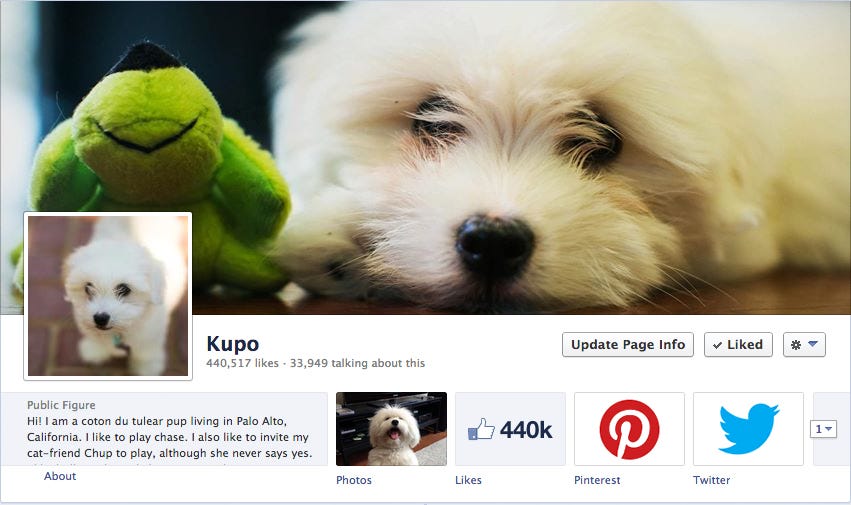 Can I Have A Facebook Page For My Dog